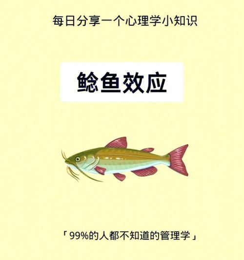 鲶鱼效应说明了什么_如何激发团队活力-第1张图片-山城妙识