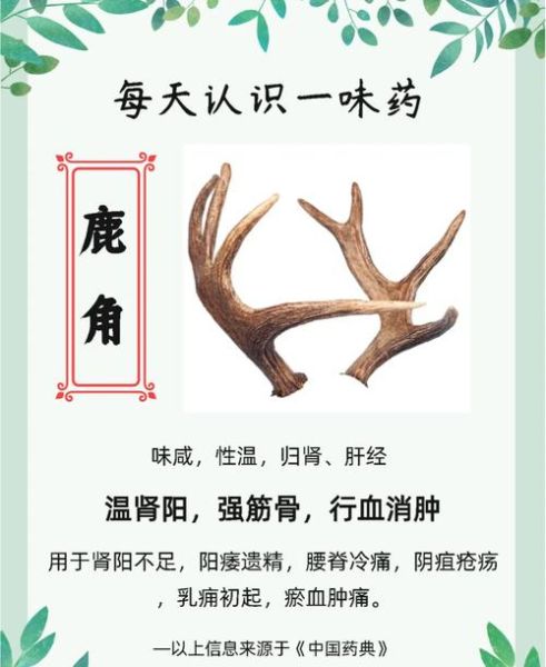 鹿角胶的功效与作用_鹿角胶适合哪些人吃-第1张图片-山城妙识