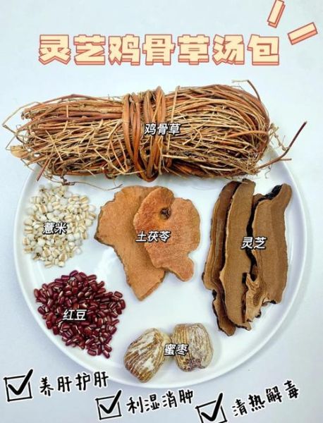 鸡骨草可以天天喝吗_长期饮用注意事项-第1张图片-山城妙识 鸡骨草可以天天喝吗_长期饮用注意事项-第1张图片-山城妙识