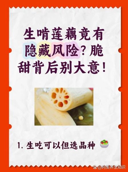 藕的作用与功效禁忌_藕怎么吃最好-第3张图片-山城妙识 藕的作用与功效禁忌_藕怎么吃最好-第3张图片-山城妙识