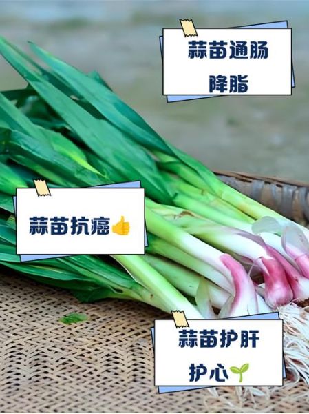 蒜苗的营养价值_蒜苗的功效与作用-第2张图片-山城妙识 蒜苗的营养价值_蒜苗的功效与作用-第2张图片-山城妙识
