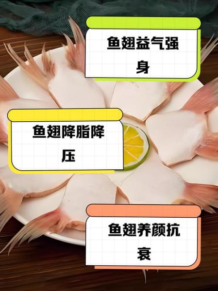 鱼翅的功效与作用_鱼翅真的有营养价值吗-第2张图片-山城妙识 鱼翅的功效与作用_鱼翅真的有营养价值吗-第2张图片-山城妙识