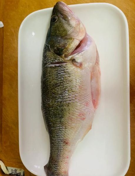 鲈鱼蒸多久能熟_鲈鱼蒸多长时间最佳-第1张图片-山城妙识