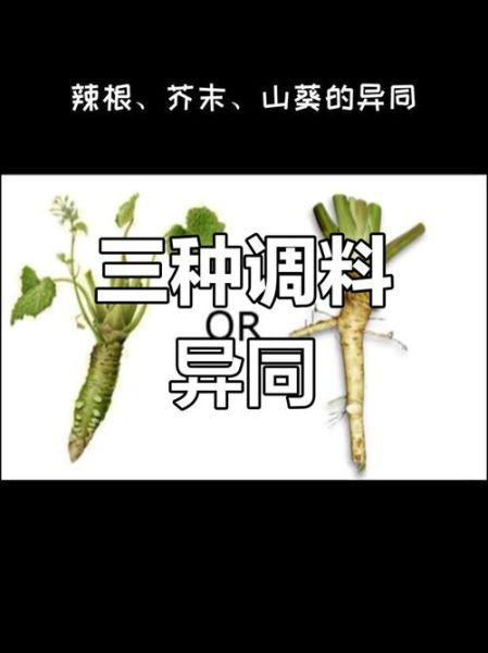 辣根是什么植物_辣根和芥末的区别-第1张图片-山城妙识