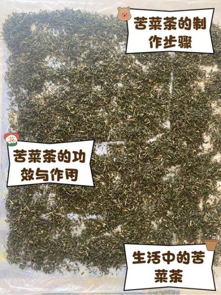 苦菜茶怎么做_苦菜茶的功效与作用-第2张图片-山城妙识 苦菜茶怎么做_苦菜茶的功效与作用-第2张图片-山城妙识