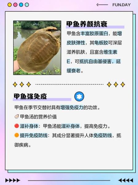 甲鱼营养价值有哪些_甲鱼功效与作用是什么-第1张图片-山城妙识 甲鱼营养价值有哪些_甲鱼功效与作用是什么-第1张图片-山城妙识