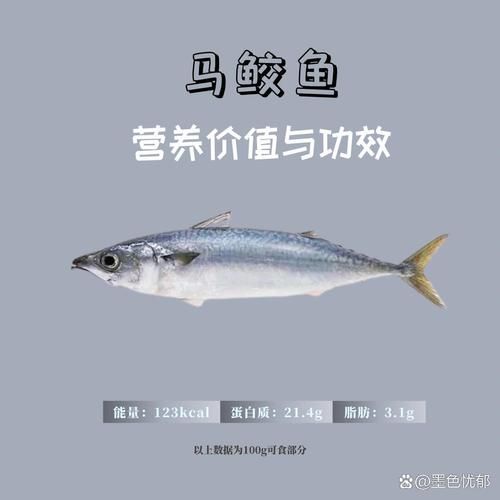 马鲛鱼的营养价值_马鲛鱼的功效与作用-第2张图片-山城妙识 马鲛鱼的营养价值_马鲛鱼的功效与作用-第2张图片-山城妙识