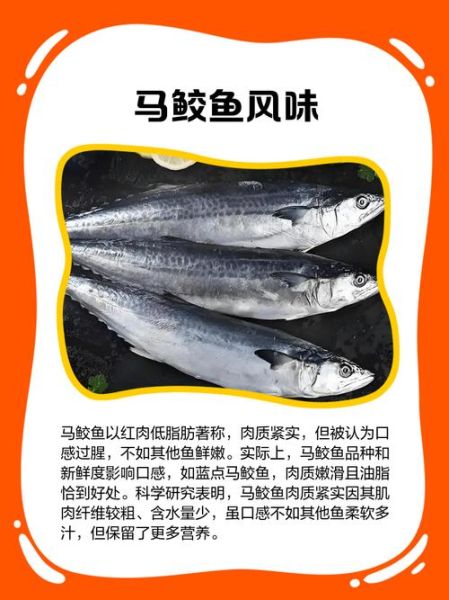 马鲛鱼的营养价值_马鲛鱼的功效与作用-第1张图片-山城妙识 马鲛鱼的营养价值_马鲛鱼的功效与作用-第1张图片-山城妙识