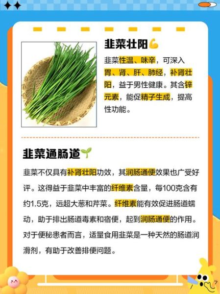 韭菜的功效与作用_韭菜的禁忌人群-第1张图片-山城妙识 韭菜的功效与作用_韭菜的禁忌人群-第1张图片-山城妙识