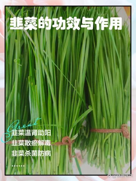 韭菜的功效与作用_韭菜的禁忌人群-第2张图片-山城妙识 韭菜的功效与作用_韭菜的禁忌人群-第2张图片-山城妙识