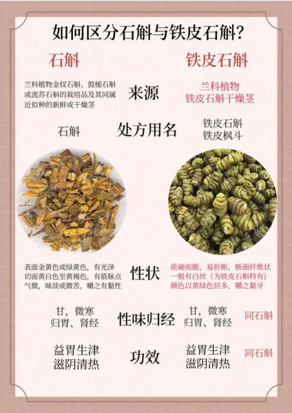 铁皮石斛的功效与作用及食用方法_怎么吃效果最好-第3张图片-山城妙识 铁皮石斛的功效与作用及食用方法_怎么吃效果最好-第3张图片-山城妙识