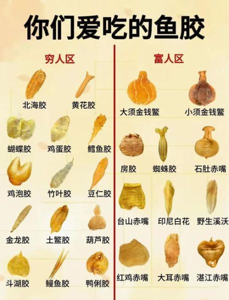 食用明胶用量多少合适_食用明胶怎么用-第1张图片-山城妙识