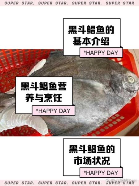黑鲳鱼价格多少钱一斤_黑鲳鱼为什么贵-第1张图片-山城妙识 黑鲳鱼价格多少钱一斤_黑鲳鱼为什么贵-第1张图片-山城妙识