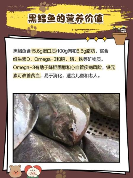 黑鲳鱼价格多少钱一斤_黑鲳鱼为什么贵-第3张图片-山城妙识 黑鲳鱼价格多少钱一斤_黑鲳鱼为什么贵-第3张图片-山城妙识