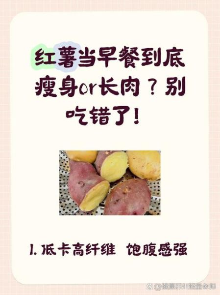红薯吃了发胖还是减肥_红薯减肥正确吃法-第1张图片-山城妙识 红薯吃了发胖还是减肥_红薯减肥正确吃法-第1张图片-山城妙识