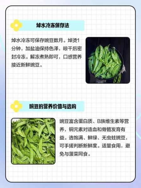 豌豆怎么保存_豌豆的营养价值有哪些-第2张图片-山城妙识 豌豆怎么保存_豌豆的营养价值有哪些-第2张图片-山城妙识
