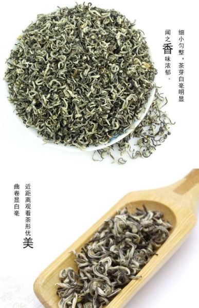 茉莉花茶有哪些种类_茉莉花茶分类大全-第3张图片-山城妙识 茉莉花茶有哪些种类_茉莉花茶分类大全-第3张图片-山城妙识