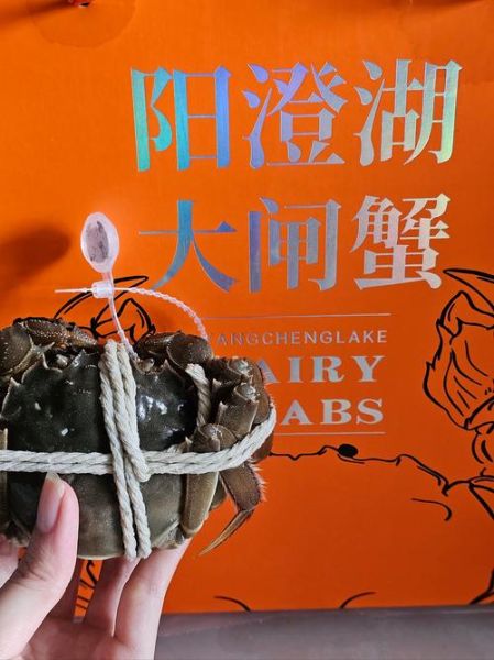 阳澄湖大闸蟹什么时候开湖上市_正宗开捕时间-第1张图片-山城妙识 阳澄湖大闸蟹什么时候开湖上市_正宗开捕时间-第1张图片-山城妙识