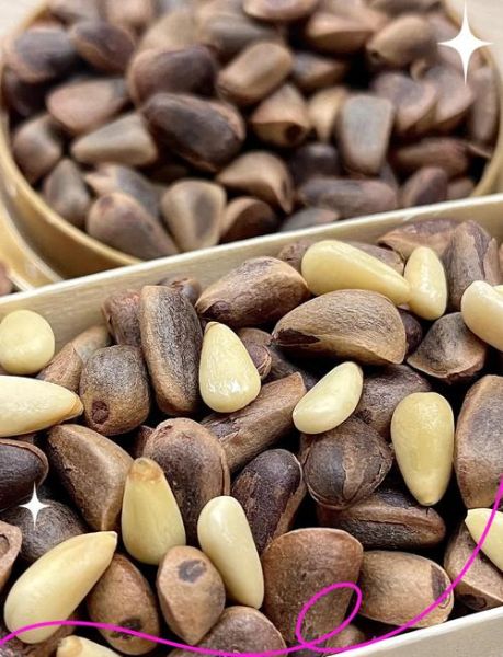 生松子仁的功效与作用_生松子仁怎么吃最营养-第2张图片-山城妙识 生松子仁的功效与作用_生松子仁怎么吃最营养-第2张图片-山城妙识