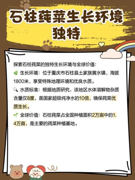 莼菜是哪里的特产_莼菜产地在哪里-第3张图片-山城妙识 莼菜是哪里的特产_莼菜产地在哪里-第3张图片-山城妙识