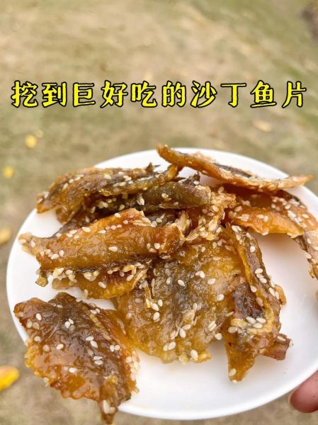 沙丁鱼干货怎么做好吃_沙丁鱼干的家常做法-第1张图片-山城妙识 沙丁鱼干货怎么做好吃_沙丁鱼干的家常做法-第1张图片-山城妙识
