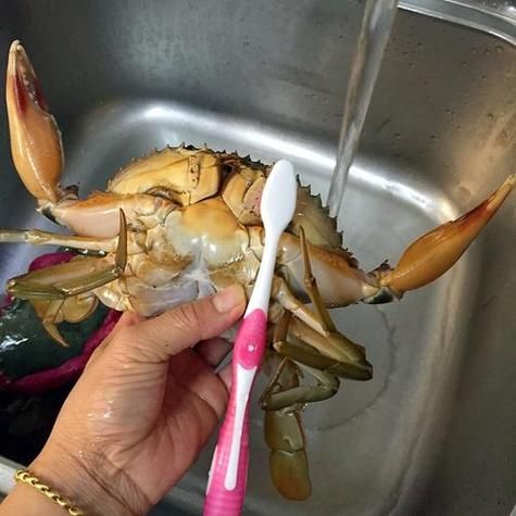 活的螃蟹怎么杀死_如何快速杀活蟹-第1张图片-山城妙识