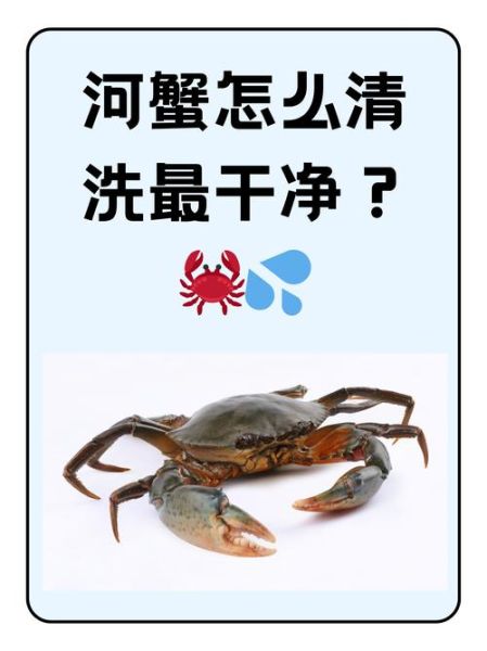 活的螃蟹怎么杀死_如何快速杀活蟹-第3张图片-山城妙识