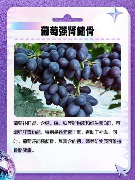 补肾壮阳吃什么水果最好_男人肾虚吃什么水果见效快-第3张图片-山城妙识