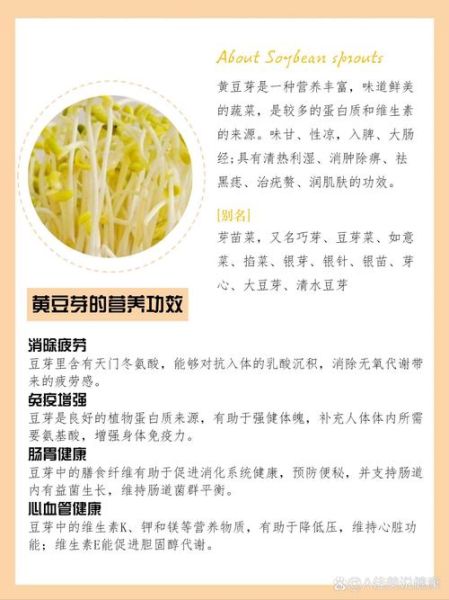 绿豆芽的功效与作用禁忌_哪些人不能吃-第1张图片-山城妙识 绿豆芽的功效与作用禁忌_哪些人不能吃-第1张图片-山城妙识