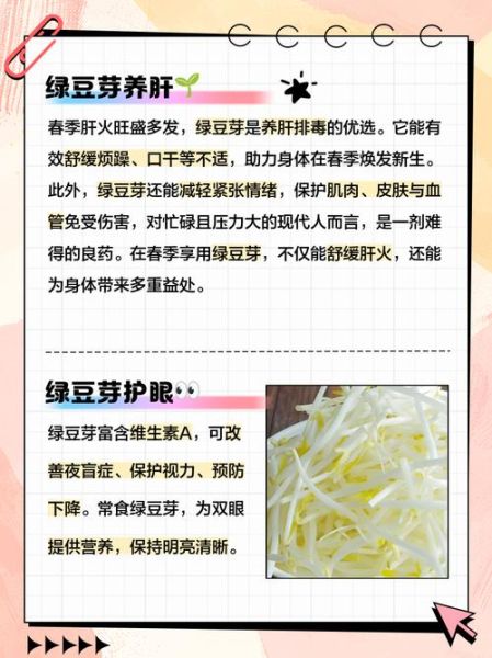 绿豆芽的功效与作用禁忌_哪些人不能吃-第3张图片-山城妙识 绿豆芽的功效与作用禁忌_哪些人不能吃-第3张图片-山城妙识