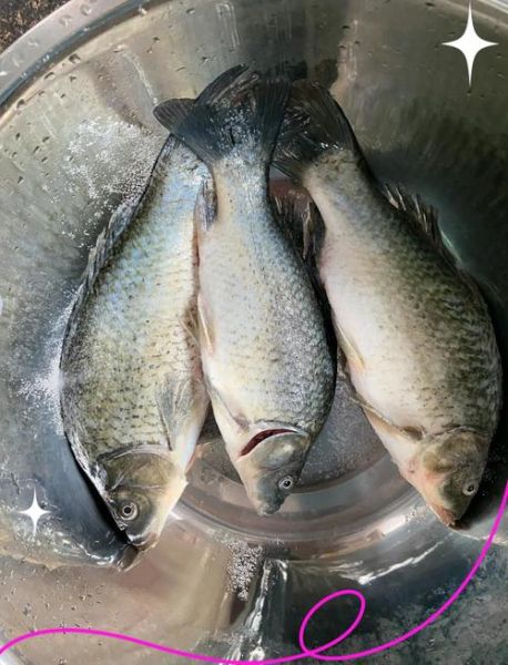 蒸鲫鱼要多长时间熟_蒸鲫鱼最佳时间是多少分钟-第1张图片-山城妙识 蒸鲫鱼要多长时间熟_蒸鲫鱼最佳时间是多少分钟-第1张图片-山城妙识