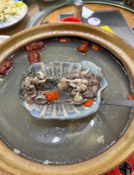 炖甲鱼汤要什么配料_甲鱼汤做法-第2张图片-山城妙识 炖甲鱼汤要什么配料_甲鱼汤做法-第2张图片-山城妙识