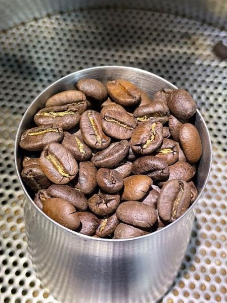 麝香猫咖啡豆为什么贵_麝香猫咖啡豆口感特点-第2张图片-山城妙识 麝香猫咖啡豆为什么贵_麝香猫咖啡豆口感特点-第2张图片-山城妙识