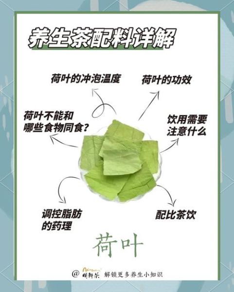 荷叶茶哪些人不能喝_荷叶茶副作用有哪些-第1张图片-山城妙识 荷叶茶哪些人不能喝_荷叶茶副作用有哪些-第1张图片-山城妙识