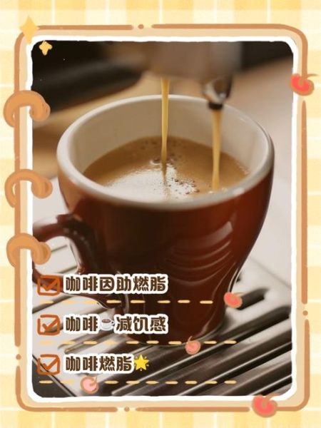 能量咖啡的功效与作用_能量咖啡能减肥吗-第3张图片-山城妙识 能量咖啡的功效与作用_能量咖啡能减肥吗-第3张图片-山城妙识