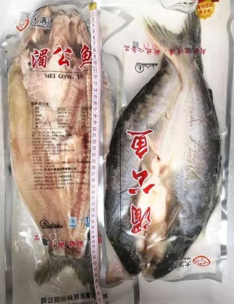 湄公鱼多少钱一斤_湄公鱼价格行情-第1张图片-山城妙识 湄公鱼多少钱一斤_湄公鱼价格行情-第1张图片-山城妙识