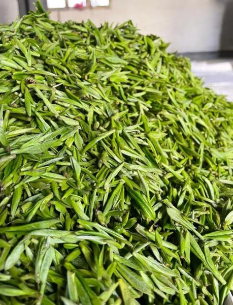 安徽名茶排行榜前十名有哪些_黄山毛峰为何稳居第一-第2张图片-山城妙识 安徽名茶排行榜前十名有哪些_黄山毛峰为何稳居第一-第2张图片-山城妙识