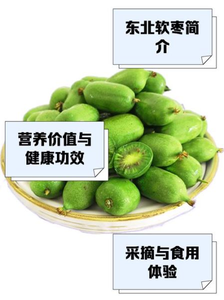 软枣子怎么吃_软枣子什么时候成熟-第2张图片-山城妙识 软枣子怎么吃_软枣子什么时候成熟-第2张图片-山城妙识