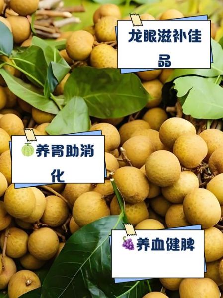 养胃水果10强排行榜_胃不好吃什么水果-第3张图片-山城妙识 养胃水果10强排行榜_胃不好吃什么水果-第3张图片-山城妙识