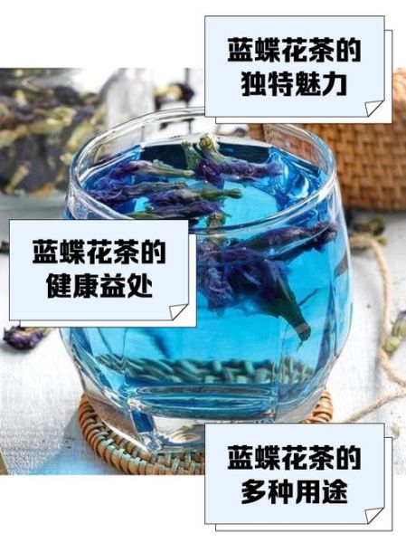 蓝蝴蝶花泡水喝的功效_蓝蝴蝶花泡水可以天天喝吗-第2张图片-山城妙识 蓝蝴蝶花泡水喝的功效_蓝蝴蝶花泡水可以天天喝吗-第2张图片-山城妙识