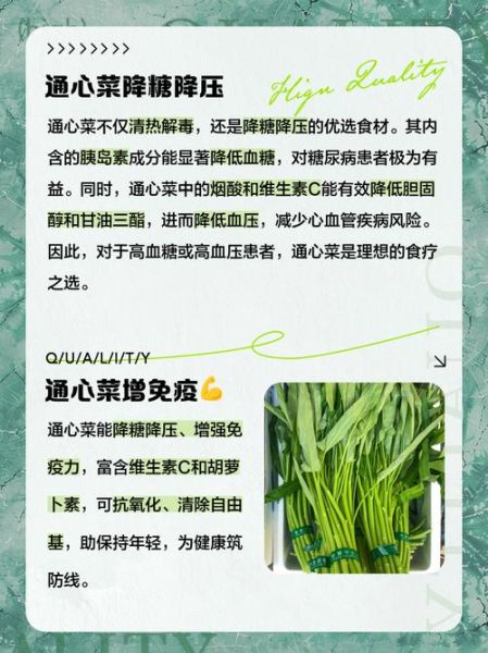 通心菜的功效与作用_通心菜怎么吃最营养-第1张图片-山城妙识 通心菜的功效与作用_通心菜怎么吃最营养-第1张图片-山城妙识