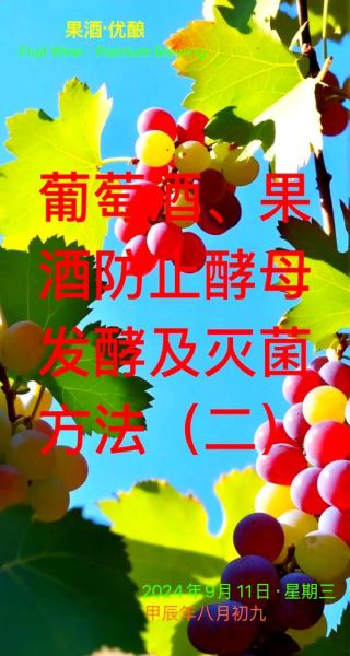 自酿葡萄酒如何杀菌_自酿葡萄酒杀菌用什么方法-第1张图片-山城妙识 自酿葡萄酒如何杀菌_自酿葡萄酒杀菌用什么方法-第1张图片-山城妙识