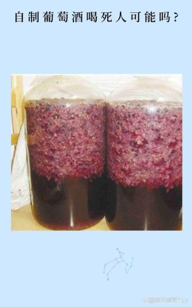 自酿葡萄酒如何杀菌_自酿葡萄酒杀菌用什么方法-第2张图片-山城妙识 自酿葡萄酒如何杀菌_自酿葡萄酒杀菌用什么方法-第2张图片-山城妙识