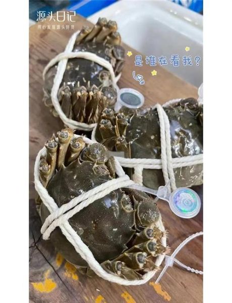 阳澄湖大闸蟹官网购买流程_阳澄湖大闸蟹真假辨别方法-第1张图片-山城妙识 阳澄湖大闸蟹官网购买流程_阳澄湖大闸蟹真假辨别方法-第1张图片-山城妙识