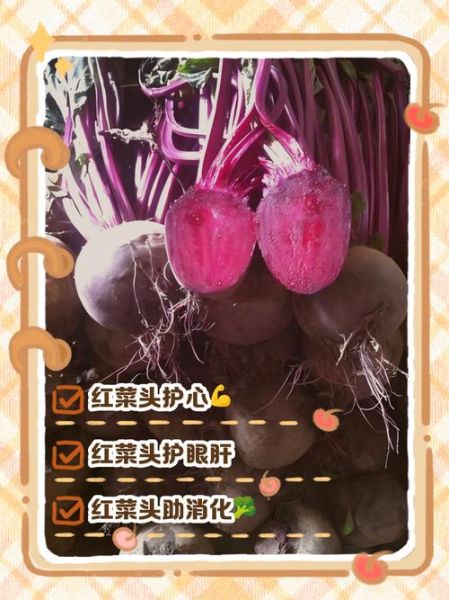 红菜头是什么菜_红菜头怎么吃-第1张图片-山城妙识 红菜头是什么菜_红菜头怎么吃-第1张图片-山城妙识