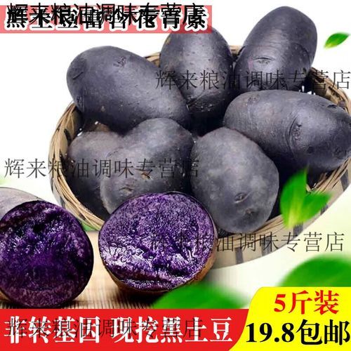 黑美人土豆产地在哪里_黑美人土豆哪里产最好-第2张图片-山城妙识 黑美人土豆产地在哪里_黑美人土豆哪里产最好-第2张图片-山城妙识