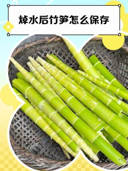 竹笋怎么保存_竹笋焯水多久-第1张图片-山城妙识 竹笋怎么保存_竹笋焯水多久-第1张图片-山城妙识