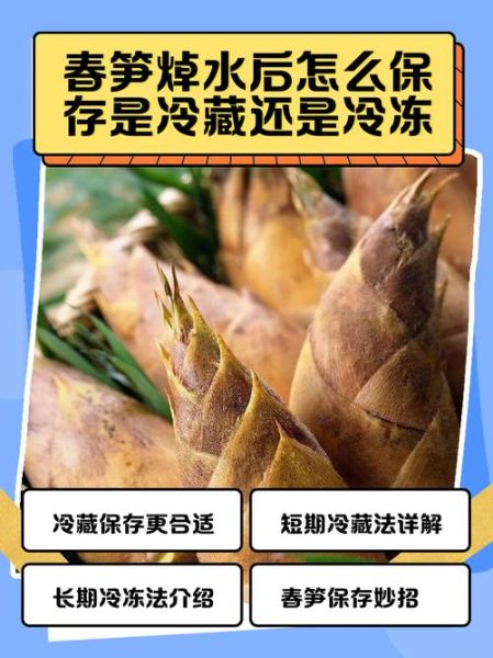 竹笋怎么保存_竹笋焯水多久-第2张图片-山城妙识 竹笋怎么保存_竹笋焯水多久-第2张图片-山城妙识