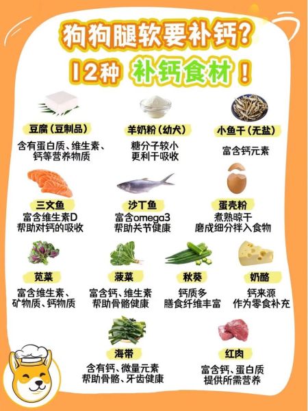 补钙期间不能吃什么_补钙十大禁忌有哪些-第1张图片-山城妙识 补钙期间不能吃什么_补钙十大禁忌有哪些-第1张图片-山城妙识