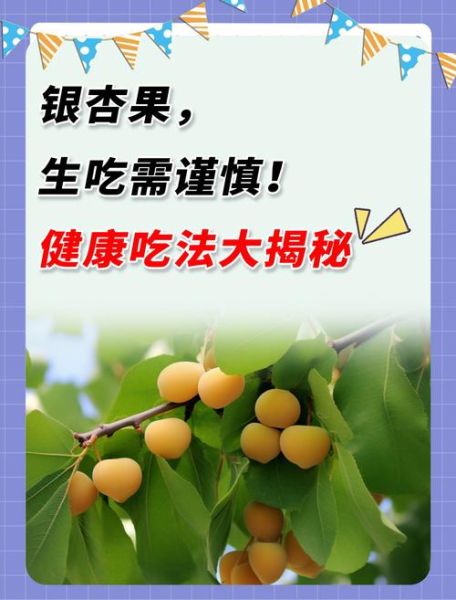 银杏果生吃有什么好处_生吃银杏果能直接吸收哪些营养-第1张图片-山城妙识